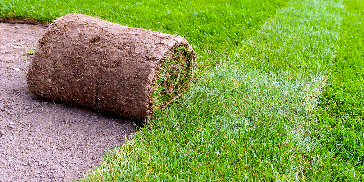 Dein Experte für individuellen und kreativen Garten- und Landschaftsbau - Galabau Lang