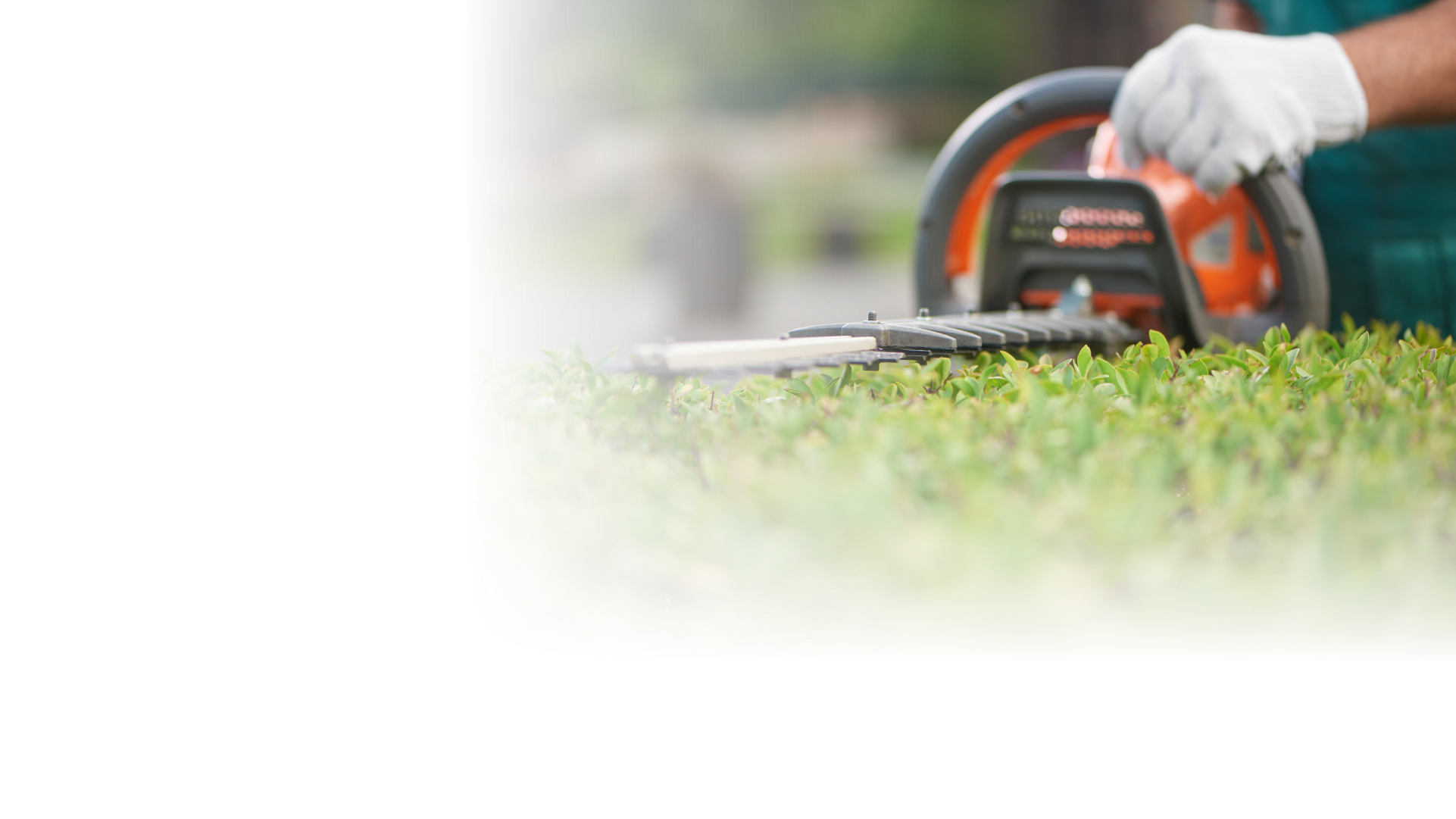 Dein Experte für individuellen und kreativen Garten- und Landschaftsbau - Galabau Lang